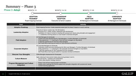 Gallup Culture Audit Transformation Model 2023pdf