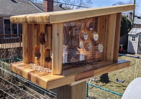 Bird Feeder Designs And Plans At Bernard Baril Blog