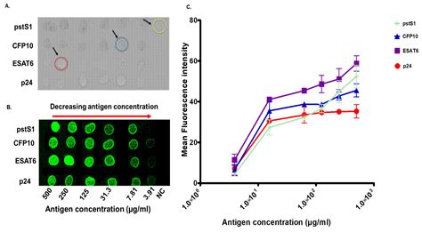 Development Of A Multiplex Hiv Tb Diagnostic Assay Based On The Microarray Technology