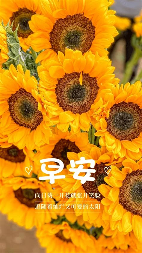 今天3月2日,周四愉快,最美的清晨祝福送给您!瞬间好日子治愈 今天3月2日,周四愉快,最美的清晨祝福送给您!瞬间好日子治愈