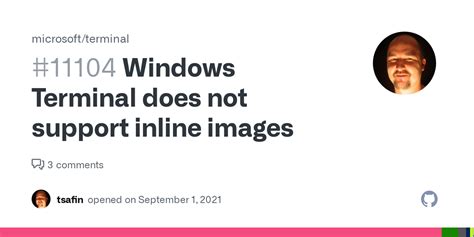 Windows Terminal Does Not Support Inline Images · Issue 11104 · Microsoftterminal · Github