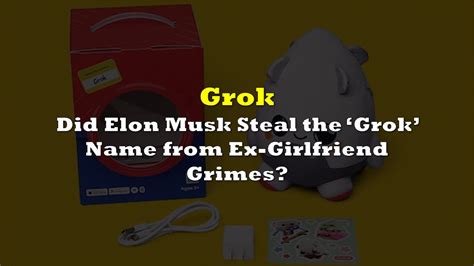Did Elon Musk Steal The Grok Name From Ex Girlfriend Grimes The Deep Dive