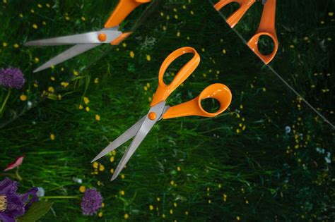Scissors And Shears Fiskars