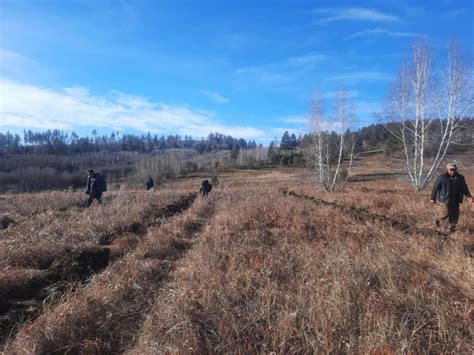 БУЛГАН 64 5 га талбайд техникийн нөхөн сэргээлт хийжээ