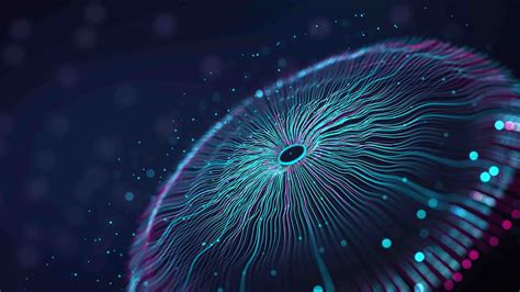 evolver emblasoft