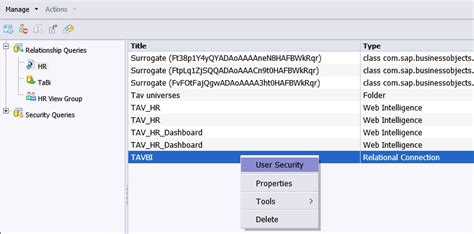 Sap Businessobjects Central Management Console User Security