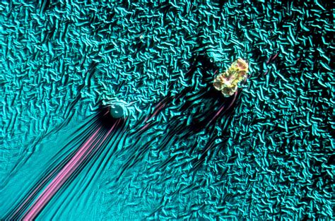 A Broad Spectrum Antibiotic Doxycycline Dissolved In Water And Sputter Coated With Gold