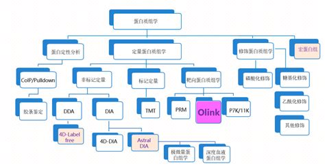 Cp Olink