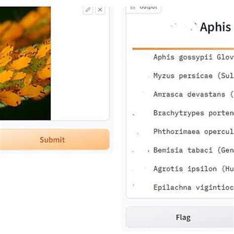 Visual Evaluation In Gradio Api Download Scientific Diagram