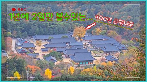 운문사 갈때 함께 가봐야 할 암자 운문사를 내려다 볼수있는 암자 북대암 Youtube