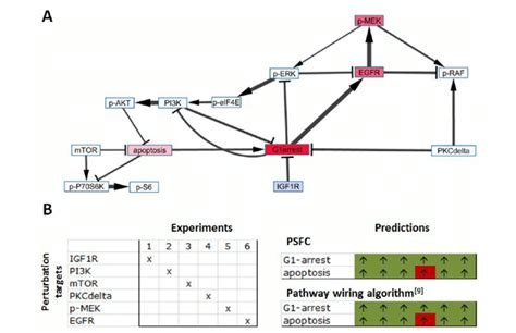 Psf Calculation Results On Mapk Signaling Pathway Mapk Signaling Download Scientific Diagram