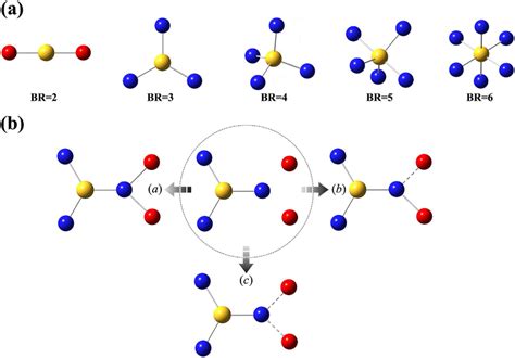The Initialization Of The Root Node For Linear And Branched Structures