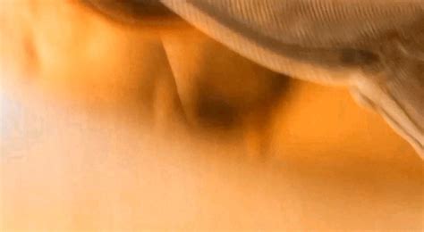 Novinha Gemendo Na Piroca Cnn Amador