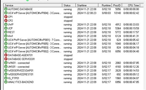 These Processes Are Started With Java 17