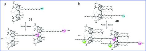 Chemical Structures Of The Self Complementary Heteroditopic Download Scientific Diagram