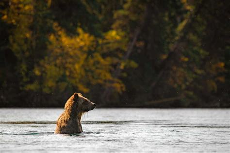 Journey To West Chilcotin Mosaic Earth Travel