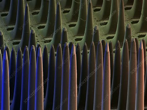 Mems Neural Interface Chip Sem Stock Image C016 7101 Science