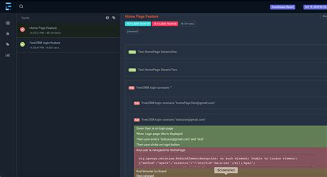 Failed Parameterised Scenario Is Getting Reported Along With The