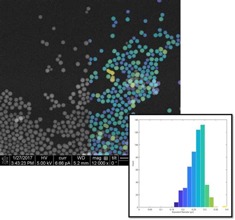 particle analysis size and shape assessments of powders