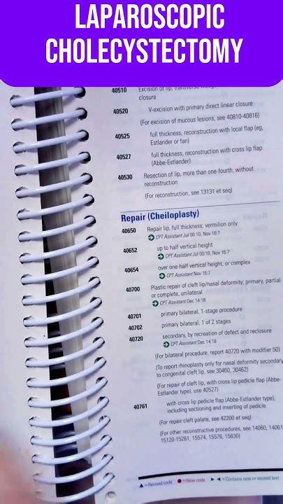 Cpt Code Lookup Demonstration No Index Medicalcoding Youtube