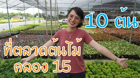 ตลาดต้นไม้คลอง15 สวรรค์ของคนรักต้นไม้ นครนายก ตลาดต้นไม้ หมู่บ้านไม้ดอกไม้ประดับ Youtube