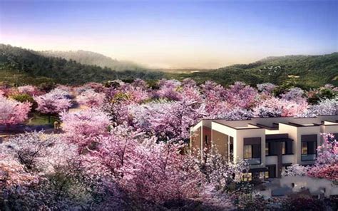 佘山珑原花海间佘山珑原佘山珑原房型图大山谷图库