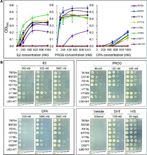 The Evaluation Of Identified Ar Mutants In A Dose Dependent Yeast Assay Download Scientific