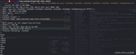 Apache Server 2450 路径穿越漏洞（cve 2021 42013）3265解密成2e Csdn博客