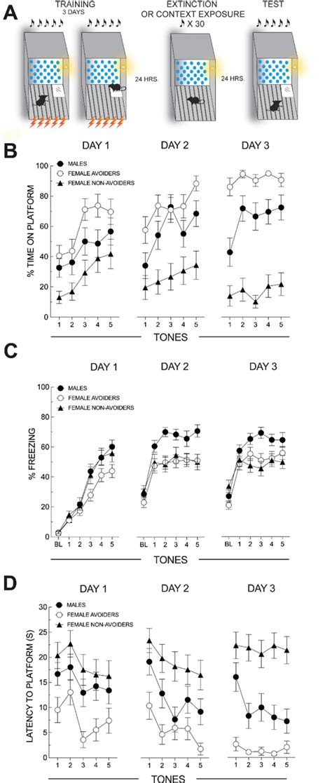 Sex Divergent Behavioral Responses In Platform Mediated Avoidance And Glucocorticoid Receptor