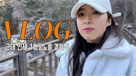 Vlog 30대 당뇨인의 잘먹고 잘사는 일상 브이로그 1형당뇨 가족여행 리조덱 노보래피드 리브레 닥터