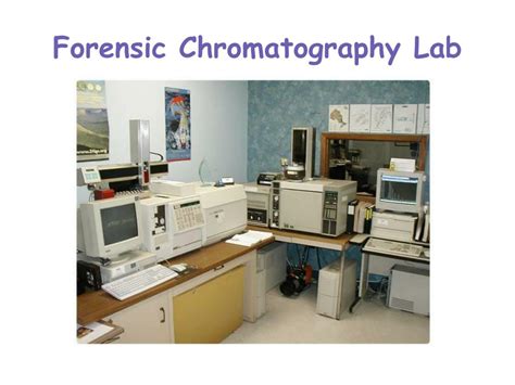 Chromatography Definition Forensic Science At Eileen Towner Blog