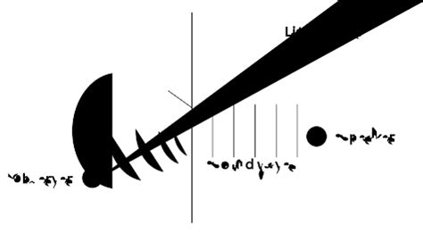 Diffraction And Polarisation Physics Explanation Exercises Evulpo