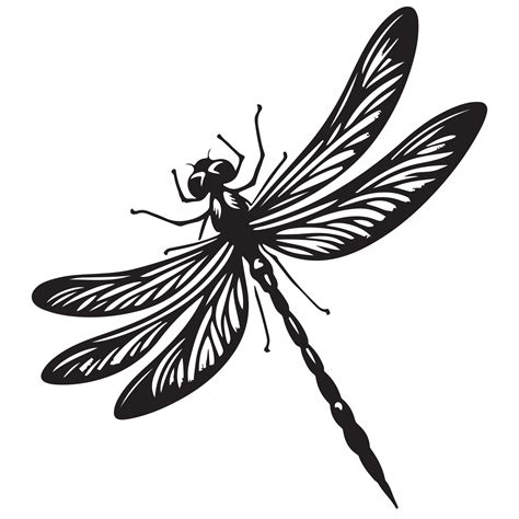 Graceful Dragonfly Silhouette Art 48323470 Vector Art At Vecteezy