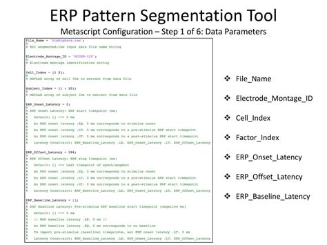 ppt nemo erp analysis toolkit erp pattern segmentation powerpoint