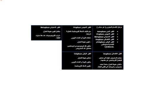 Summarize Documents Translate Script Editing By Youssef Ibr Fiverr