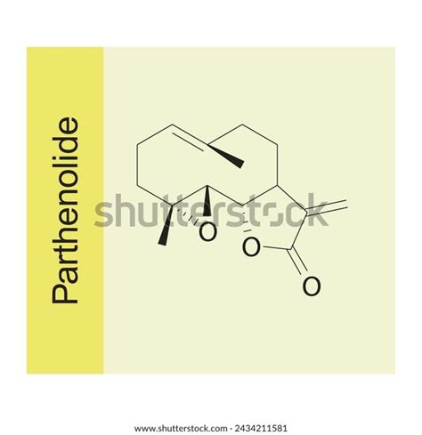 Parthenolide Skeletal Structure Diagramsesquiterpene Compound Molecule