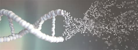 유전체 분석 기술 바이오닉스