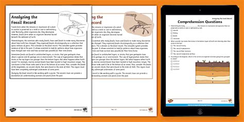 Analyzing The Fossil Record Answer Key Activity Twinkl USA
