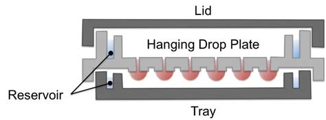 Schematic Representation Of The 3d Biomatrix System The 3d Biomatrix