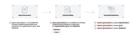 from research overload to actionable insights ai in biomedical data