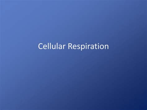 Powerpoint Lecture Notes Cellular Respiration Biology I