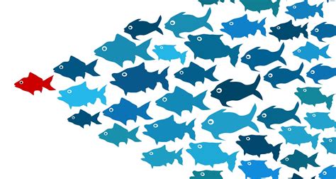 Imbalance Classification 1 — Introduction By Aditya Dhapola