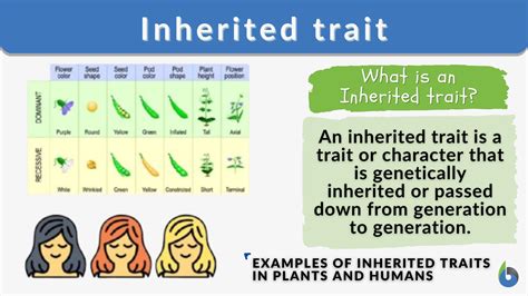 Inherited Trait Examples