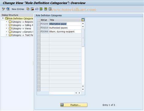 BUBB SAP Tcode BuPR Role Definition Category BUBB SAP Tcode BuPR Role Definition Category