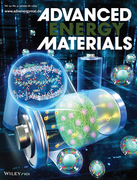 Supramolecular Salt‐assisted Quasi‐solid‐state Electrolyte Promoting Dual Conductive Interface
