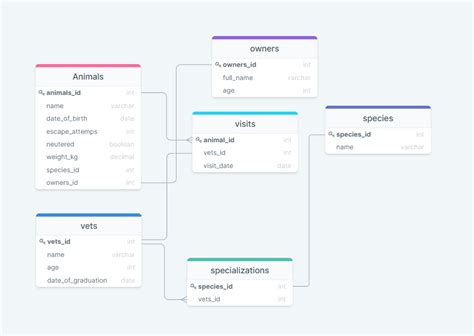 Github Laylo Vet Clinic Database