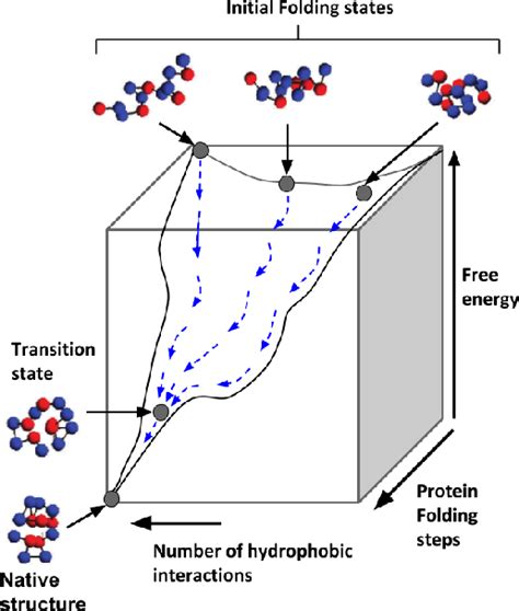 Figure 1 From A Novel Approach To Protein Folding Prediction Based On Long Short Term Memory
