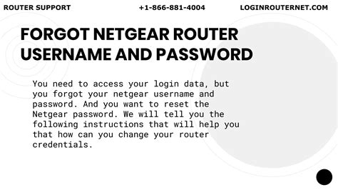 Netgear Router Login PDF
