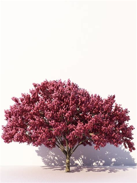 Trees Isolated On White Background Stock Illustration Illustration Of Environmental Botanic