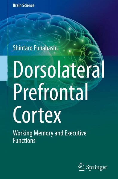 Dorsolateral Prefrontal Cortex Von Shintaro Funahashi Fachbuch Bücherde